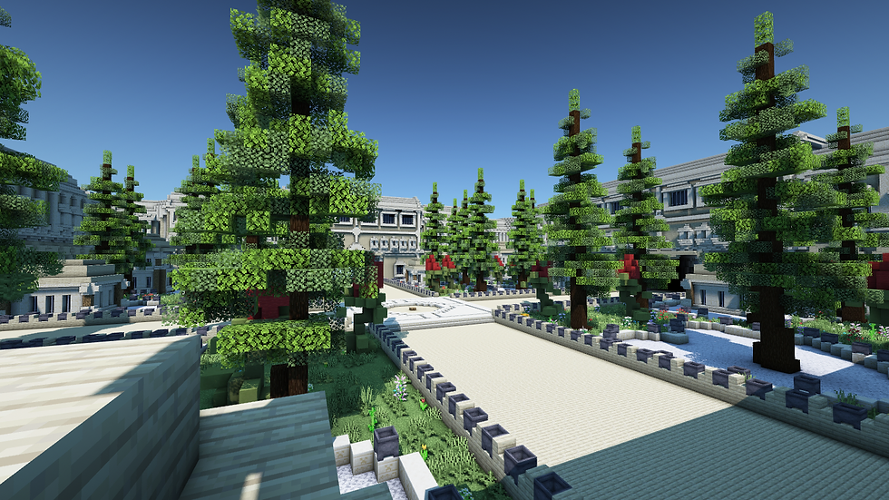 Birch Tree Spawn - 240x240 | BuiltByBit (MC-Market)