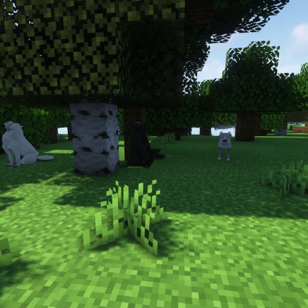 Forest Animal Pack | BuiltByBit (MC-Market)