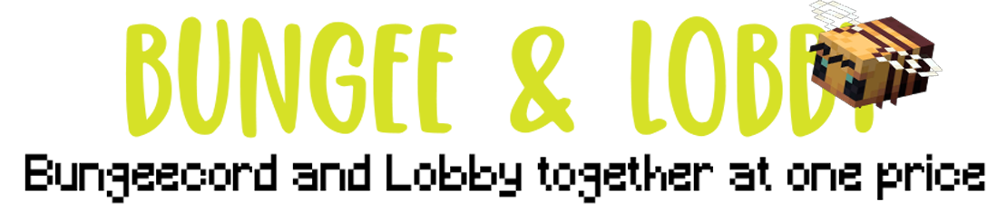 Bungee & Lobby Setup | Unique | BuiltByBit