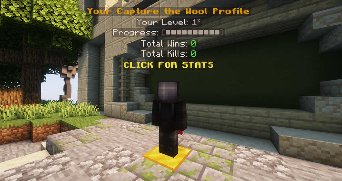 Hypixel Capture the Wool Setup | EN/ES | | BuiltByBit