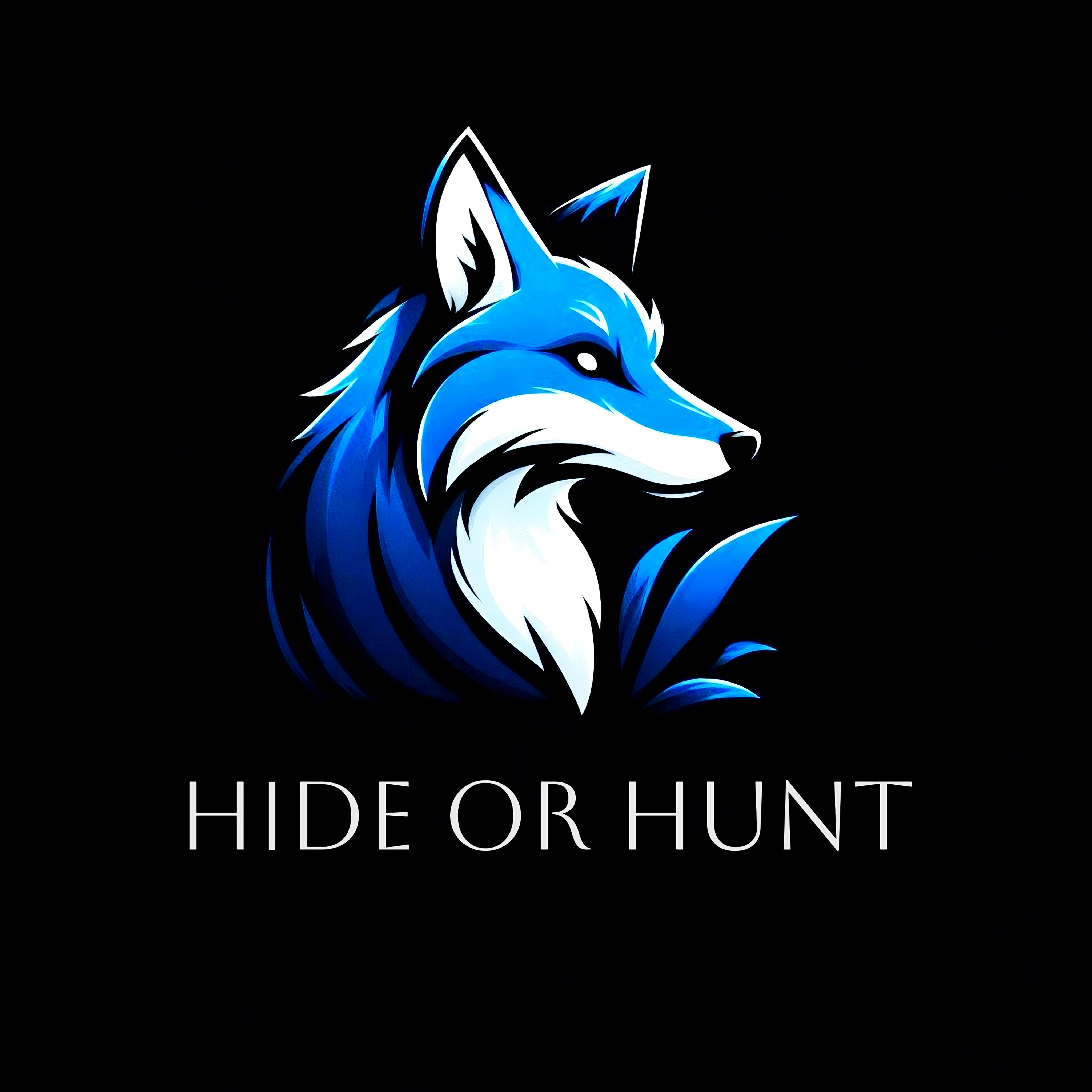 Hide Or Hunt | BuiltByBit