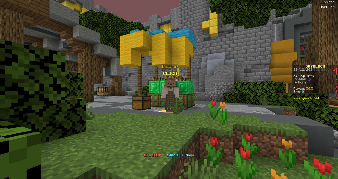 Hypixel Skyblock Remake - Server Setup | BuiltByBit